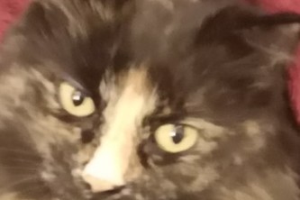 Sci-Fi Game | Devpost