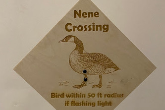 Nene Crossing Guard | Devpost