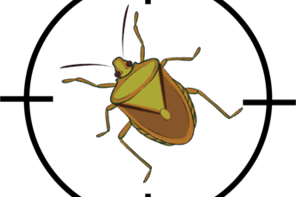 Invasive Species Detector | Devpost