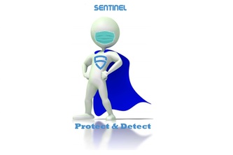 Sentinel (Protect and Detect) | Devpost