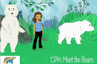 CPH: Meet the bears | Devpost