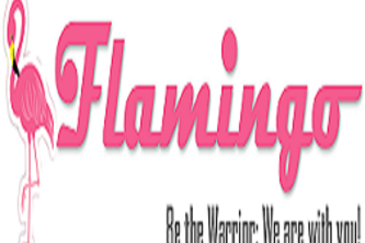 Flamingo - B-Team | Devpost