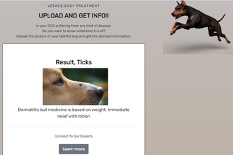 Vet Expert | Devpost