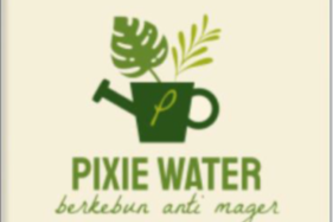 SI4108 - Pixie Water | Devpost