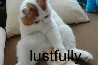 Random Picture Generator | Devpost