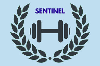 Sentinel | Devpost