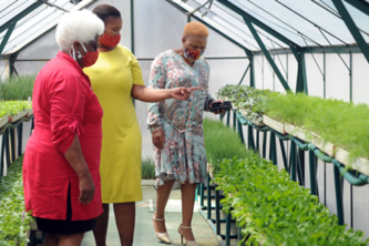 Interactive Map for Mhani Gingi's Impact | Devpost