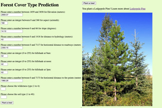 Forest Cover Type Prediction | Devpost