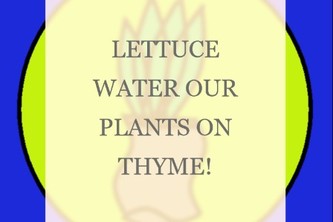 Lettuce-Water-On-Thyme | Devpost