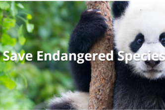 Save Endangered Species | Devpost