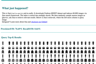 Jina Hello World Fashion MNIST | Devpost