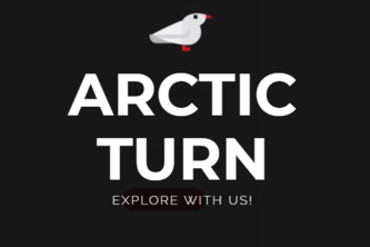 Arctic Turn | Devpost