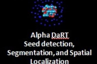 Alpha DaRT seed detection from CT images | Devpost