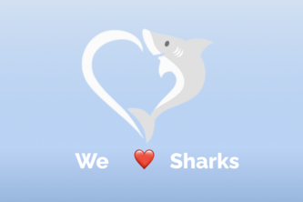 We ️ Sharks | Devpost