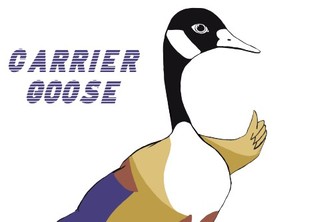 Carrier Goose | Devpost