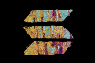 Solana Ignition | Devpost