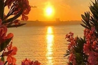 Sunset with flowers | Devpost