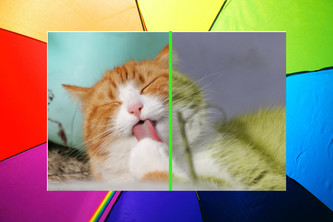 Color Programmatic | Devpost