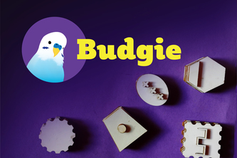 Budgie: An Inclusive Tangible Music Programming Environment | Devpost