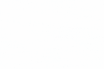 Accessibility Without Borders | Devpost