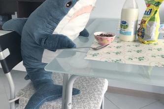 Blahaj API | Devpost