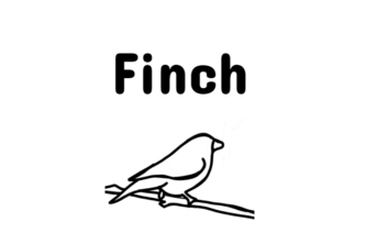 Team #7 - Finch | Devpost