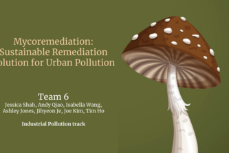 Team 6: Mycoremediation - Sustainable Pollution Solution | Devpost