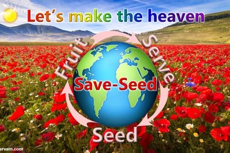 Science of Health and Wealth ~ Save-Seed | Devpost