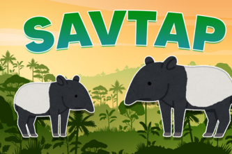 SavTap (Save Tapirs) | Devpost