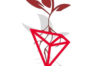 Root Protocol | Devpost