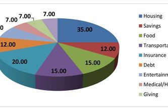 Budget Visualizer | Devpost