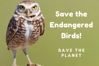 Save the Endangered | Devpost