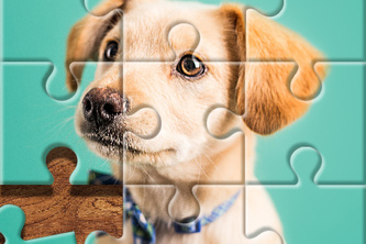 Solve the Saw | Devpost