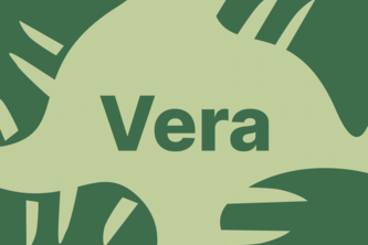 Vera | Devpost