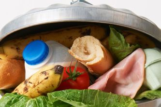 Food Waste and Anaerobic Digestors | Devpost