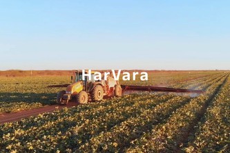 Harvara | Devpost