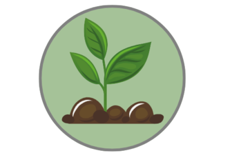 Plant disease detection android application | Devpost