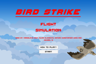 Bird Strike | Devpost