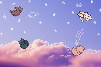 Purrfect Budget | Devpost