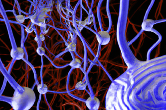 Picture Pathway | Devpost