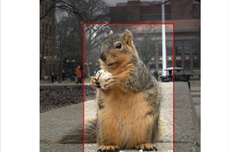 Squirrel Lens | Devpost
