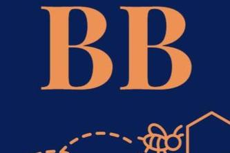 Braille Buzz | Devpost