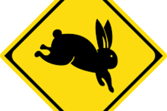 Bunny Crossing | Devpost