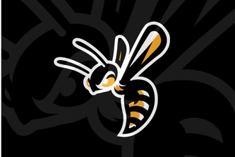 WASP. | Devpost