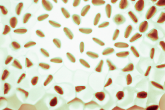 Dialogic Claude | Devpost