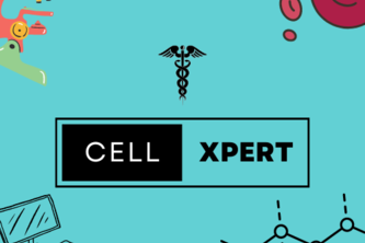 Blood Cell Disease Identifier using Machine Learning | Devpost