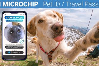 AI Microchip App - Pet ID (Travel Pass) | Devpost