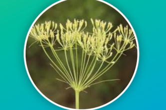 Universal Object Identifier | Devpost