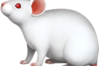 Magic Mouse | Devpost