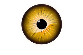 Golden Eye | Devpost